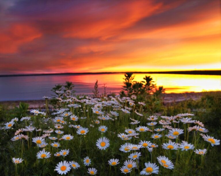 Pymatuning State Park - Visit Ashtabula, Ohio Wine Country