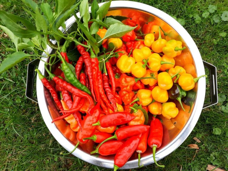 Class 1: Cardiac - Heart Health - Visit Ashtabula, Ohio Wine Country